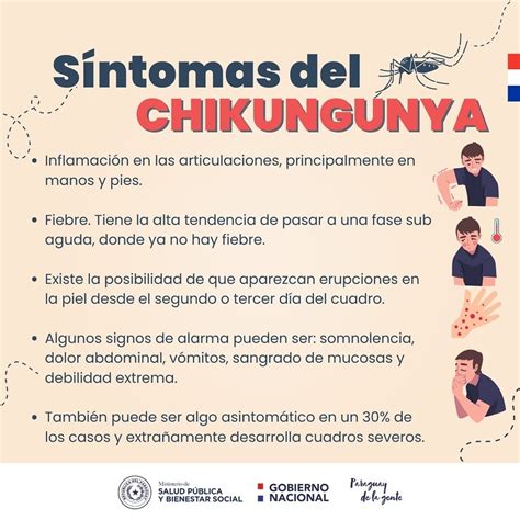 Chikungunya Veja Sintomas Sequelas E Tratamento Mqyw