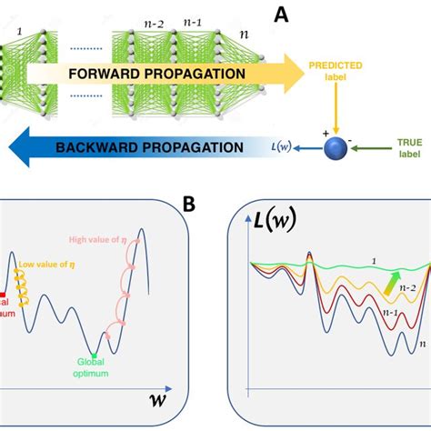 The Loss Function And The Backward Propagating Of Its Gradient A The
