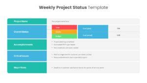 Weekly Project Status Template