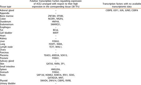 Tissue Specific Expression Of Transcription Factors Acting On