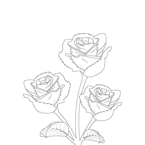꽃다발 그리기 장미 꽃 색칠 페이지와 장식 손으로 그린 연필 라인 아트 벡터와 책 프리미엄 벡터