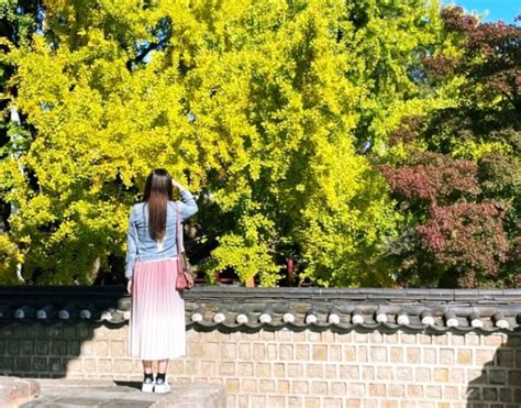 서울 가을 데이트 단풍명소로 지금이 딱 가볼만한곳 Best 5 네이버 블로그