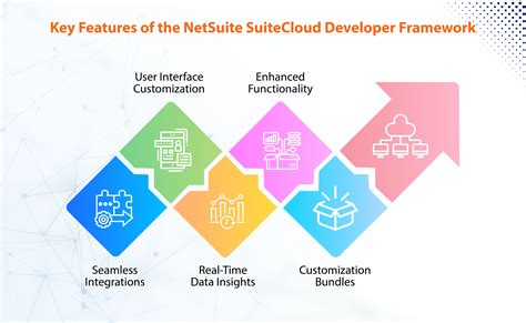 Netsuite Suitecloud Platform The Future Of Cloud Development Vnmt