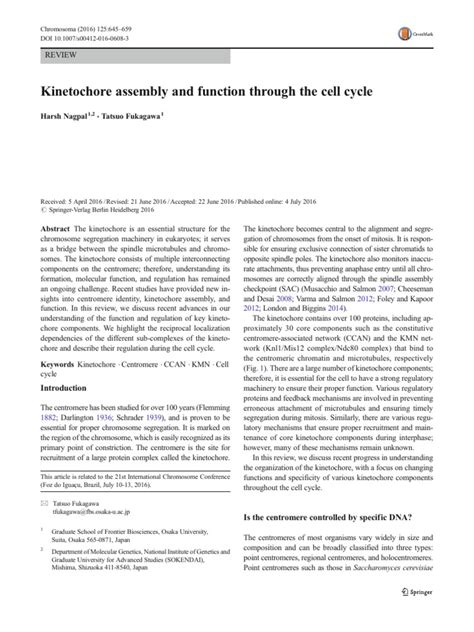 Kinetochore Assembly And Function Through The Cell Cycle Review Pdf Mitosis Biological