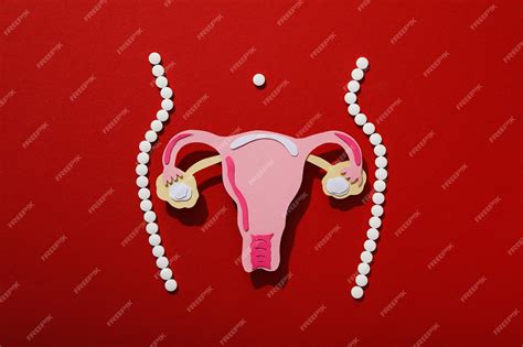 내부 생식기 월경 주기 개념을 가진 여성 그림의 실루엣 프리미엄 사진