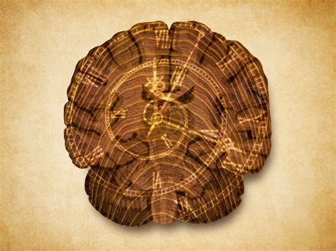 Pharmaceutical Technology Drug Development News Views Updated DailyHome Pharmaceutical