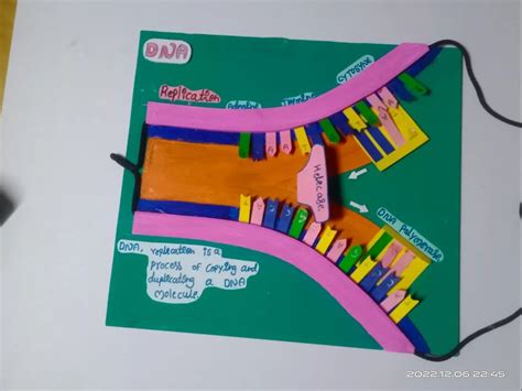 Dna Model Science Projects At ₹ 1800 Dna Double Helix Model In