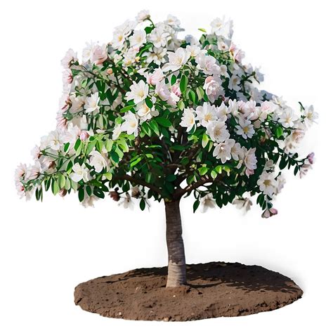 200 Small Tree Png Images Page 4