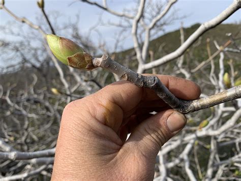 Regenerative Agriculture Information Network