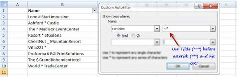 microsoft excel tips filter asterisk character