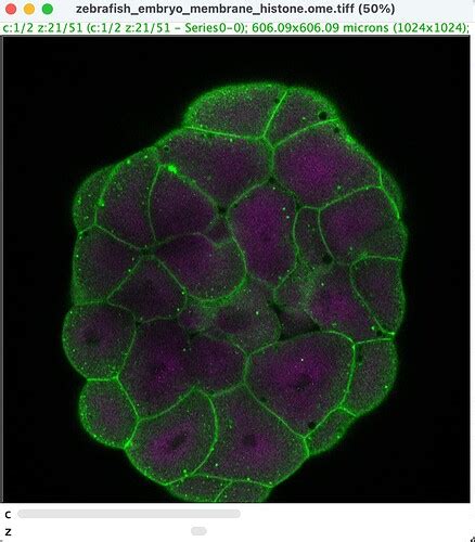 Bio Formats Color Wrong For Imagej Images Usage And Issues Imagesc Forum