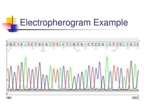 Ppt 1 Dna Extraction Powerpoint Presentation Free Download Id 6737663