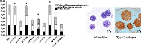 Histological Analysis Of The Samples After Alcian Blue And Type Ii