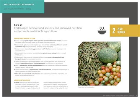 Sdg Matrix Healthcare Ppt