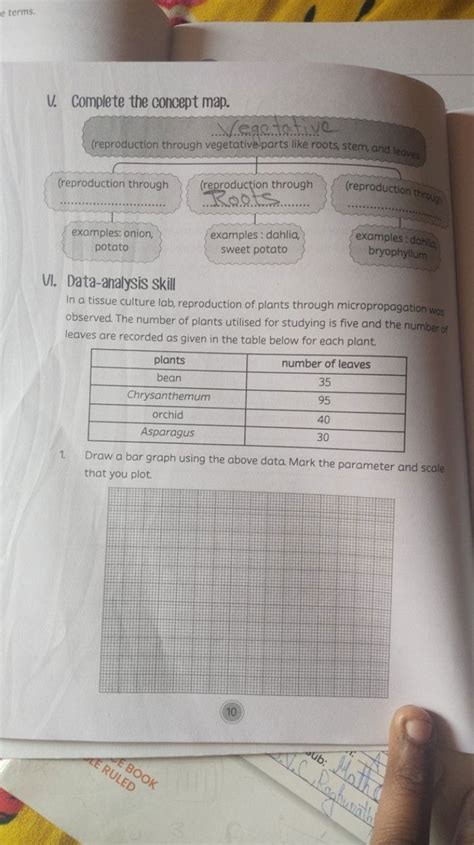 V Complete The Concept Map Reproduction Through Vegetative Parts Like