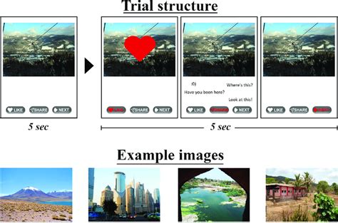 The Social Networking Site Behaviour Task Snsbt The Top Row Download Scientific Diagram