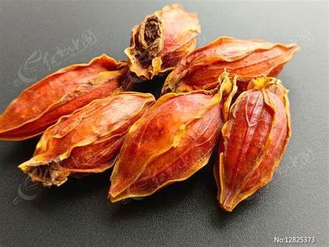 干货香料栀子高清图片下载 红动中国