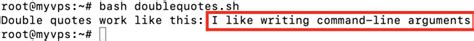 What Are Bash Variables And How To Work With Them On Linux