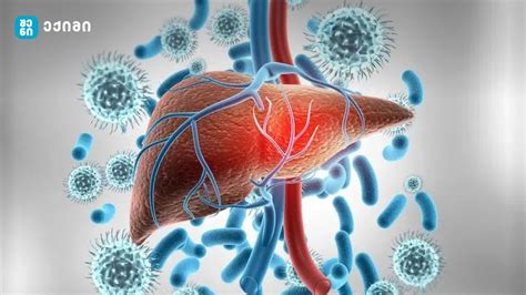 რა არის C ჰეპატიტის მართვის სახელმწიფო პროგრამის მიზანი Sheniekimi Ge