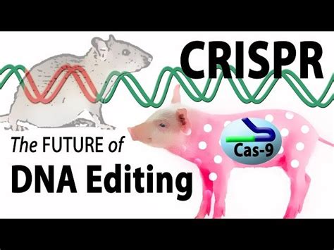 Free Video Cell Biology From Youtube Class Central