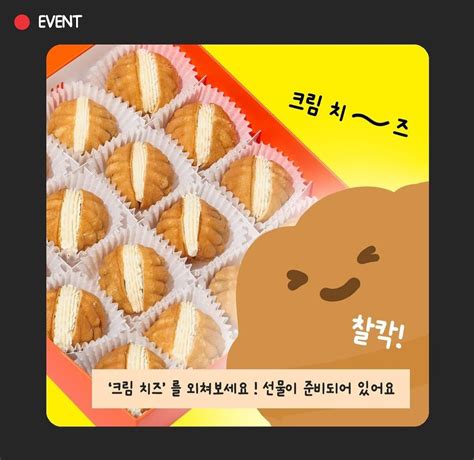 나랑 사진 찍을래 코코호도