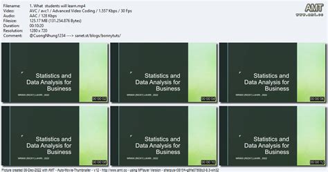 Statistics And Data Analysis For Business Using MS Excel SoftArchive