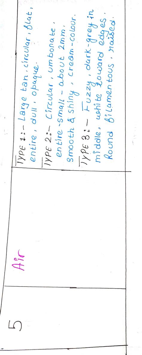 [solved] Questions Proper Aseptic Technique Is Crucial To Ensuring Growth Course Hero