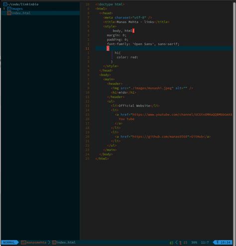 How Can I Make Css Work On My Lazyvim I Am Not Able To Find Any
