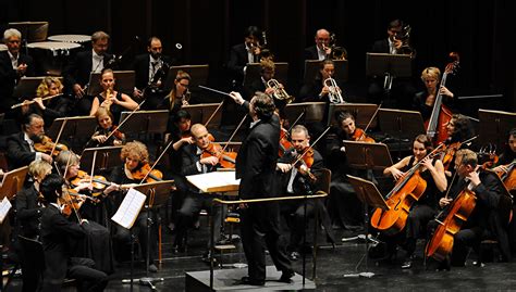 Alexander Steinitz Gallery