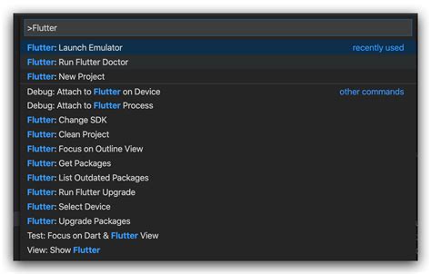 Hot Reload And Hot Restart Commands Not Displaying In Vscode As Shown
