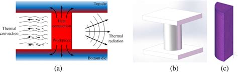 Heat Transfer Of The Forging A Geometric Model B And Finite