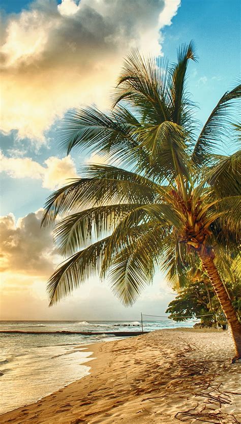 Brazil Beaches Wallpaper
