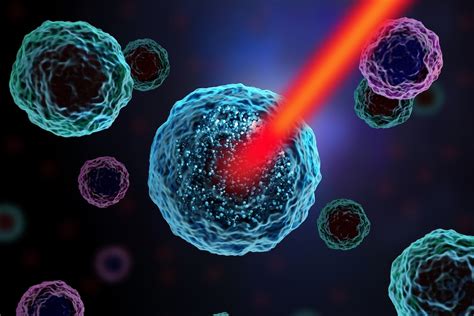 Researchers Find Tumor Microbiome Interactions May Identify New