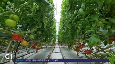 스마트농업 Ai혁신을 더하다