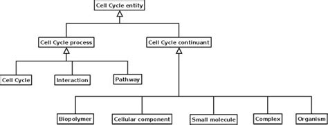 Simple Mapping Of Owl To Uml Not All The Possible Owl Axioms Are