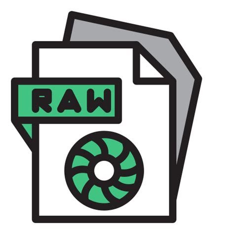 Raw File Generic Outline Color Icon