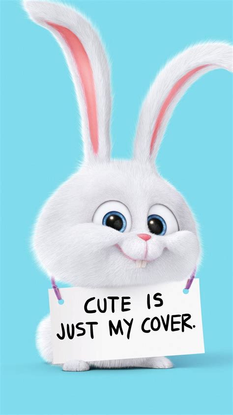 Cute Cartoon Rabbit Wallpapers Top Free Cute Cartoon Rabbit