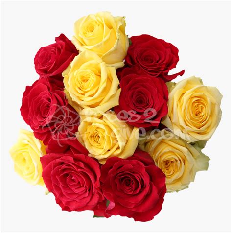 Yellow With Red Rose Flower Images