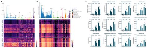 Scientific Poster Illustrates 3d Whole Brain Imaging Of Amyloid Plaque