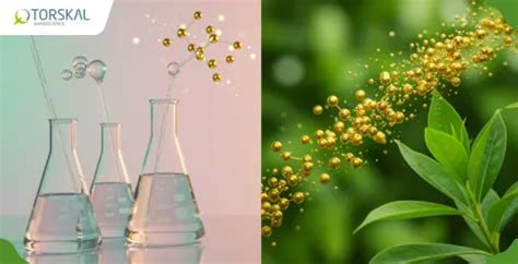 Colloidal Gold Nanoparticles Uses And Benefits