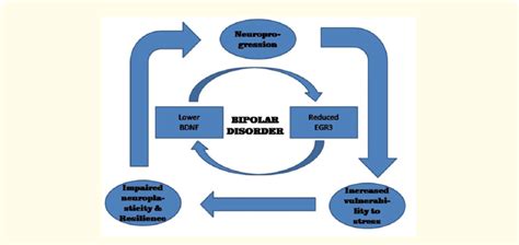 Pathophysiology Of Bipolar Disorder Download Scientific Diagram