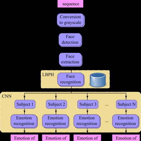 Lbp Histogram Obtained From A Single Person Download Scientific Diagram