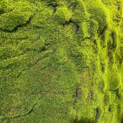 Wholesale Artificial Moss Turf Grass Wall Art Artificial Plant Panels 3d Moss Grass Wall For