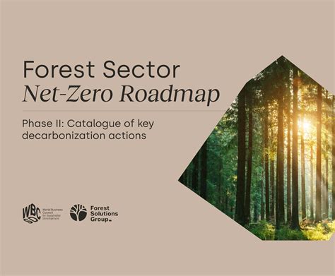Catalogue Of Key Decarbonization Actions Phase Ii Forest Sector Net Zero Roadmap Wbcsd