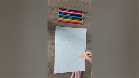 ტუკანი Youtube