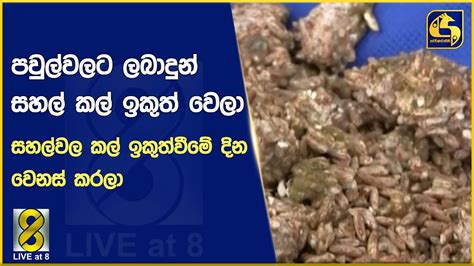 පවුල්වලට ලබාදුන් සහල් කල් ඉකුත් වෙලා සහල්වල කල් ඉකුත් වීමේ දින වෙනස් කරලා Youtube