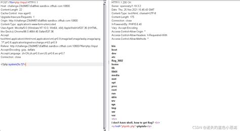 Ctf之旅（ctfhub技能树详细write Up持续更新ing（rce）ctfhub Writeup 管理后台 Csdn博客