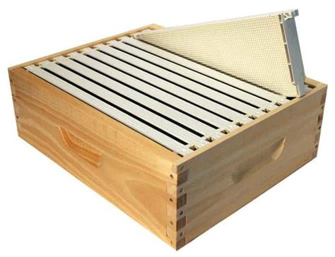 Complete 8 Frame Medium Langstroth Box With Frames Perfectbee