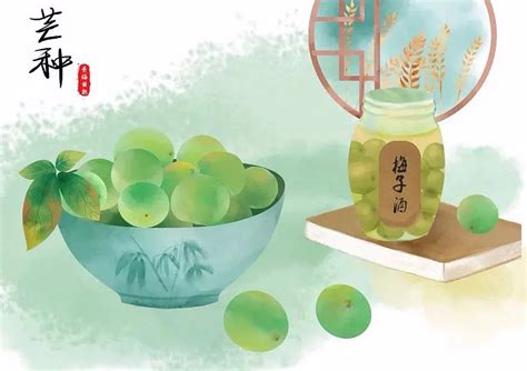 溜溜梅66中国青梅节人民日报推荐芒种吃梅 芒种作为我国24节气之一自古以来就是一个收获与播种并存的美好时节而芒种还有个风雅的习俗就是