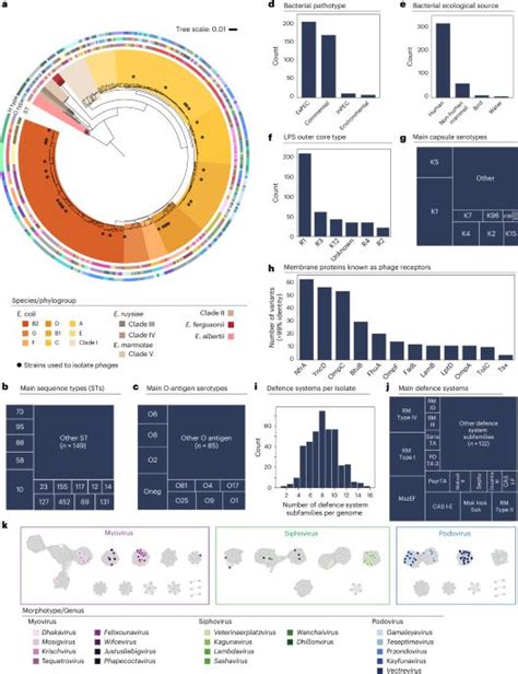 Phage Directory On Linkedin Prediction Of Strain Level Phagehost